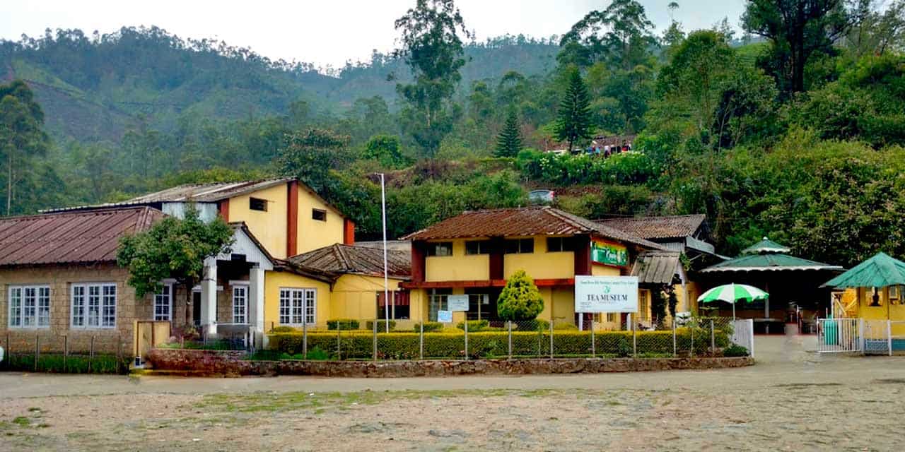 Munnar Tea Garden Itinerary: Best 2-Day & 3-Day Plans for First-Time ...